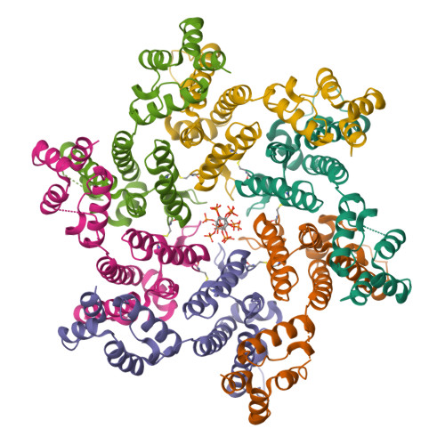 RCSB PDB - 6BHT: HIV-1 CA hexamer in complex with IP6, orthorhombic ...