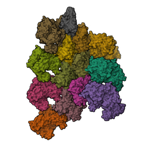 RCSB PDB - 6BIH: The Structure of the Actin-Smooth Muscle Myosin Motor ...