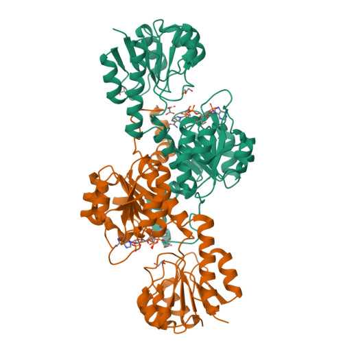 RCSB PDB - 6BII: Crystal Structure of Pyrococcus yayanosii Glyoxylate ...