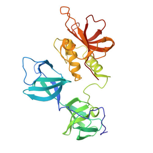 RCSB PDB - 6BIO: Structure of NlpC1 from Trichomonas vaginalis