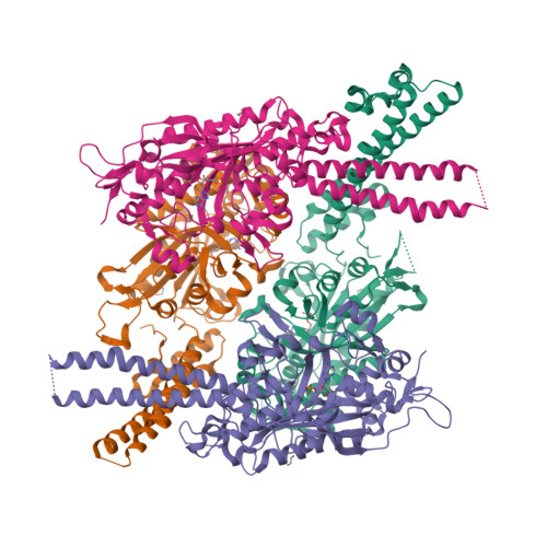 RCSB PDB - 6BLJ: Crystal structure of cytoplasmic Serine-tRNA ligase ...