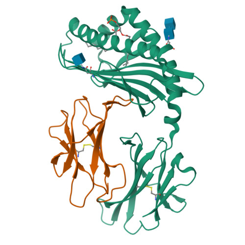 RCSB PDB - 6BMK: Crystal structure of MHC-I like protein