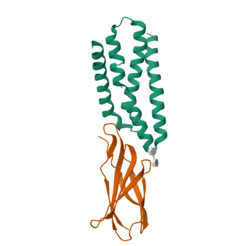 RCSB PDB - 6BX4: The crystal structure of fluoride channel Fluc Ec2 ...