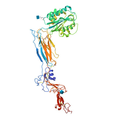 RCSB PDB - 6BXF: Crystal structure of an extended b3 integrin L33