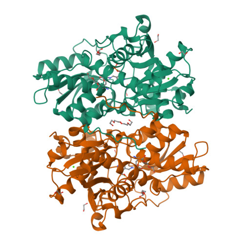 RCSB PDB - 6C2H: Crystal Structures of Cystathionine beta-Synthase from ...