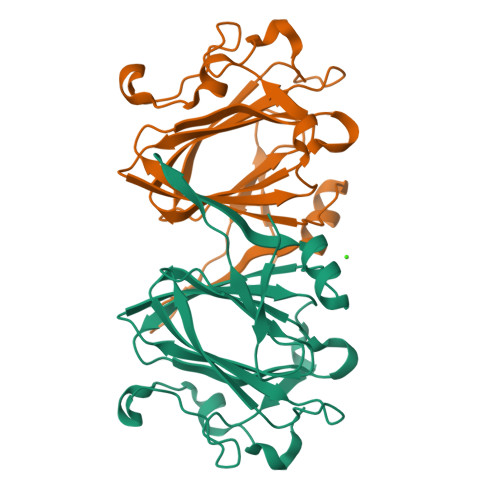 RCSB PDB - 6C46: Crystal structure of dTDP-4-dehydrorhamnose 3,5 ...