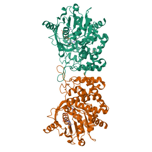 RCSB PDB - 6C4N: Pseudopaline dehydrogenase (PaODH) - NADP+ bound