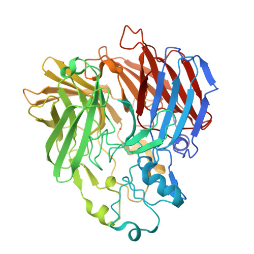 RCSB PDB - 6C7K: Crystal structure of an ACO/RPE65 chimera