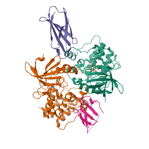RCSB PDB - 6C83: Structure of Aurora A (122-403) bound to inhibitory ...
