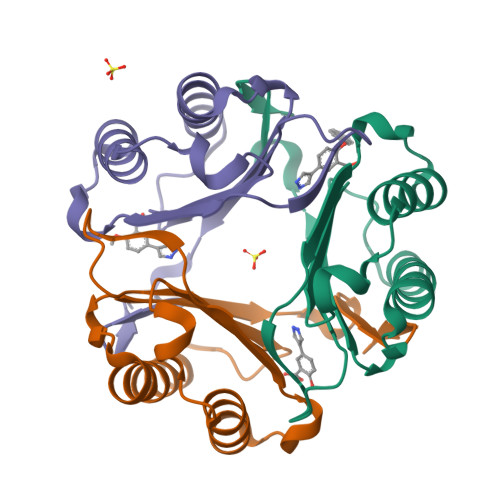RCSB PDB - 6CB5: Macrophage Migration Inhibitory Factor in complex with ...