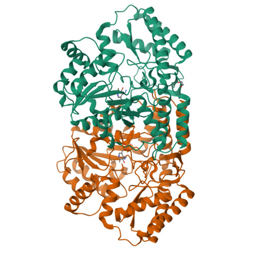 RCSB PDB - 6CBK: X-ray structure of NeoB from Streptomyces fradiae in ...