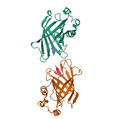 RCSB PDB - 6CD8: Complex of GID4 fragment with short peptide