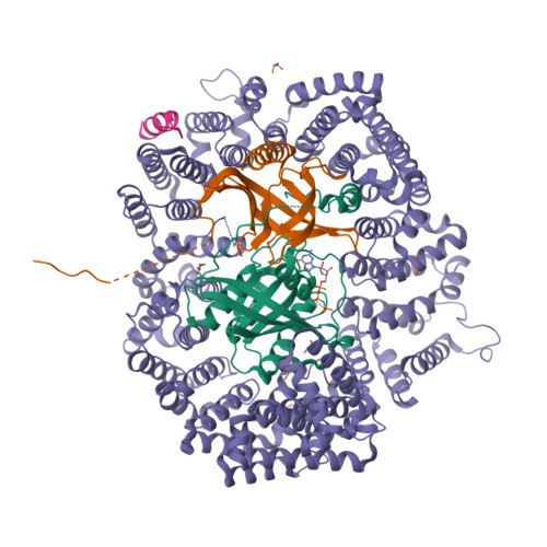 RCSB PDB - 6CIT: Crystal Structure of MVM NS2 NES Peptide in complex ...