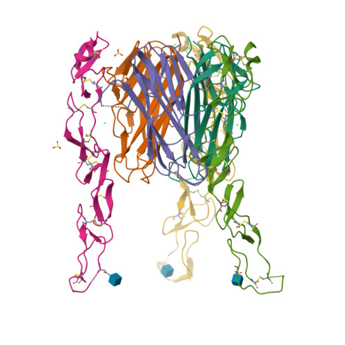 RCSB PDB - 6CPR: Crystal structure of 4-1BBL/4-1BB complex in C2 space ...