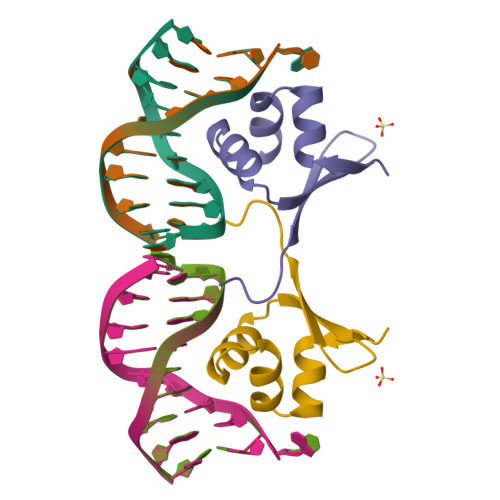 RCSB PDB - 6CRO: CRYSTAL STRUCTURE OF LAMBDA-CRO BOUND TO A CONSENSUS ...
