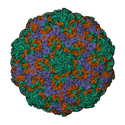 RCSB PDB - 6CV2: CryoEM structure of human enterovirus D68 full virion