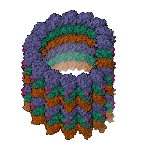 RCSB PDB - 6CVJ: Model of synthetic tau (four tandem repeats of first ...