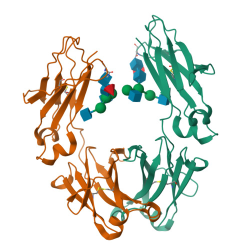 RCSB PDB - 6D58: Crystal structure of a Fc fragment of Human IgG3