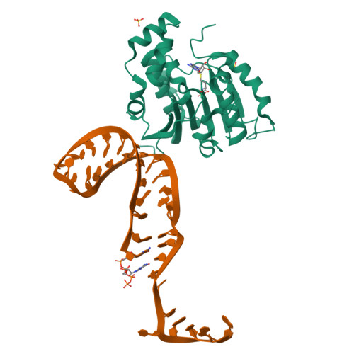 RCSB PDB - 6DCB: Structure of methylphosphate capping enzyme ...