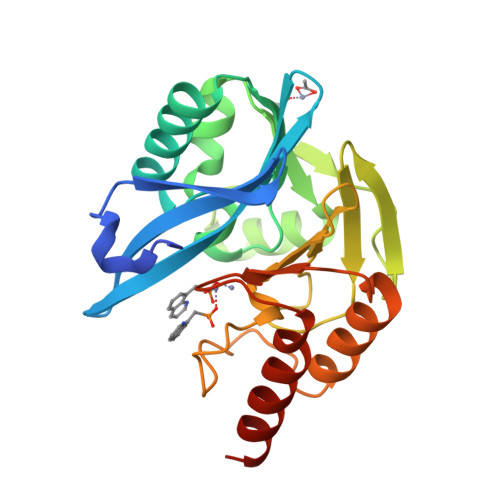 RCSB PDB - 6DD1: Crystal structure of VIM-2 complexed with compound 14