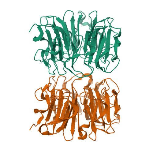 RCSB PDB - 6DD7: Crystal structure of plant UVB photoreceptor UVR8 from ...