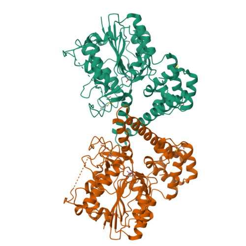 RCSB PDB - 6DHI: Butelase 1: Auto-Catalytic Cleavage as an Evolutionary ...