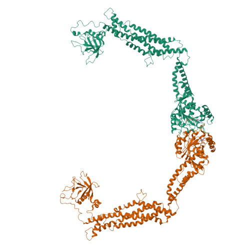 RCSB PDB - 6DLU: Cryo-EM of the GMPPCP-bound human dynamin-1 polymer ...