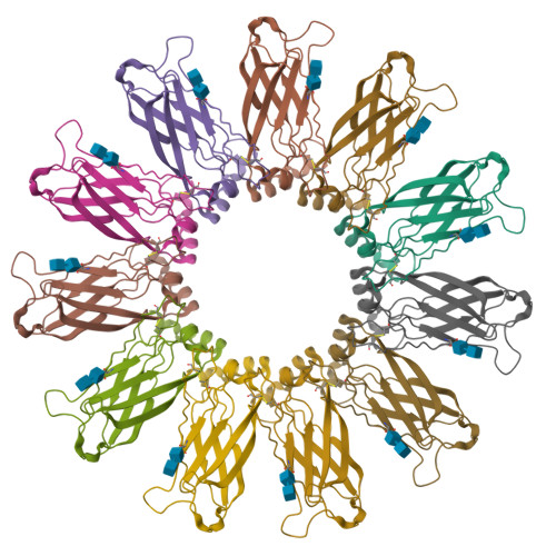 RCSB PDB - 6DS5: Cryo EM structure of human SEIPIN