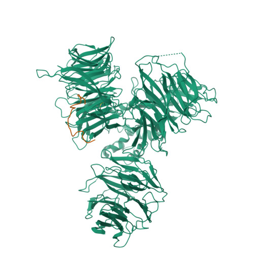 RCSB PDB - 6DSZ: Crystal structure of DDB1 in complex with DET1- and ...