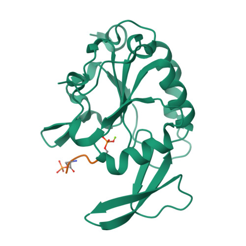 RCSB PDB - 6DU2: Structure of Scp1 D96N bound to REST-pS861/4 peptide
