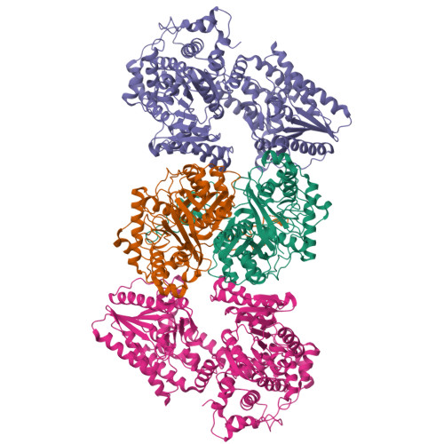 RCSB PDB - 6DV2: Crystal Structure of Human Mitochondrial Trifunctional ...