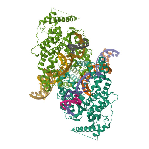 RCSB PDB - 6DX0: Hermes transposase deletion dimer complex with (A/T) DNA