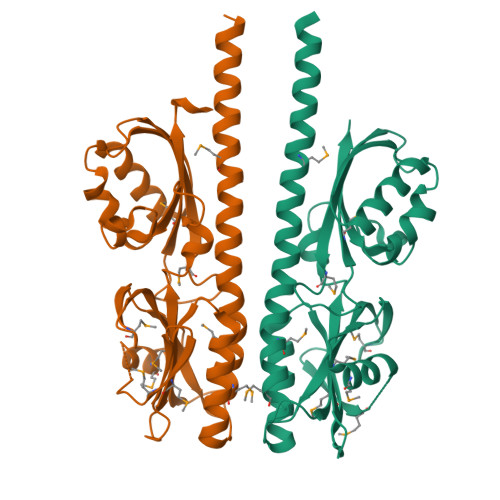 RCSB PDB - 6E09: Crystal Structure of Helicobacter pylori TlpA ...