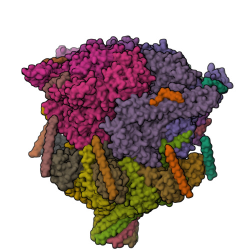 RCSB PDB - 6E11: PTEX Core Complex in the Resetting (Compact) State