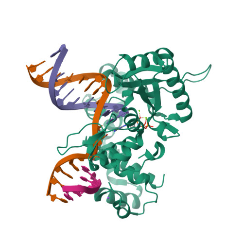 RCSB PDB - 6E3W: Structure of human DNA polymerase beta complexed with ...