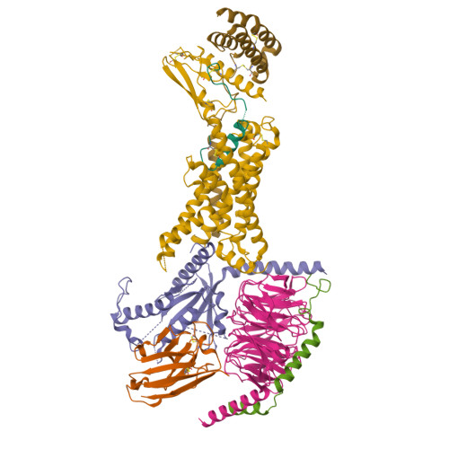 RCSB PDB - 6E3Y: Cryo-EM structure of the active, Gs-protein complexed ...