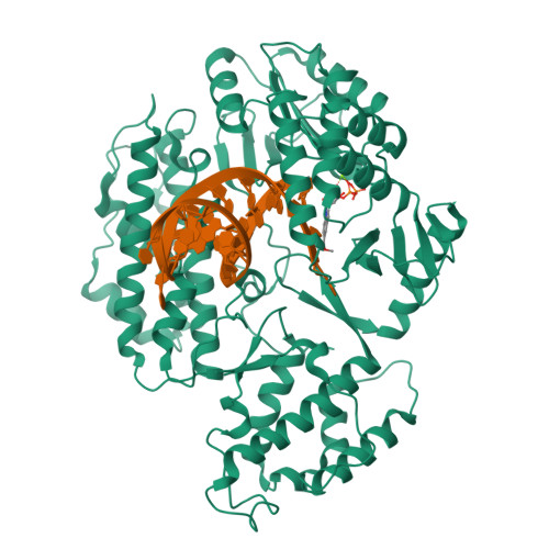 RCSB PDB - 6E53: Structure of TERT in complex with a novel telomerase ...