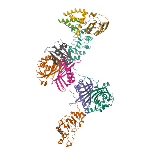 Mrna Structure 3d