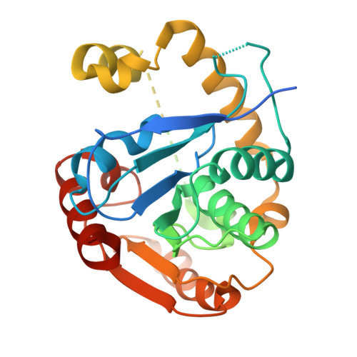 RCSB PDB - 6ECC: Vlm2 thioesterase domain wild type structure 2
