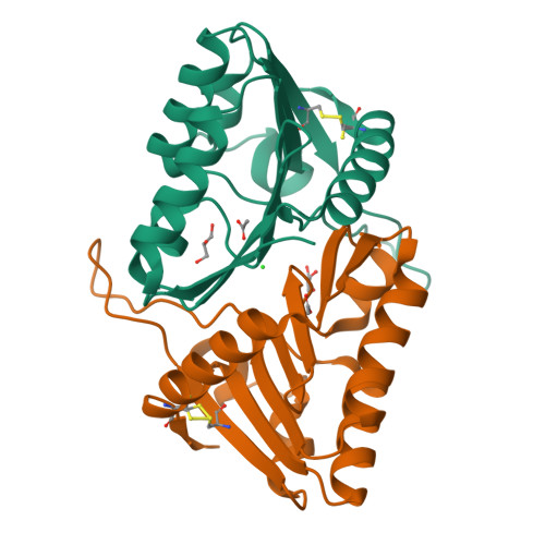 RCSB PDB - 6EHI: NucT from Helicobacter pylori
