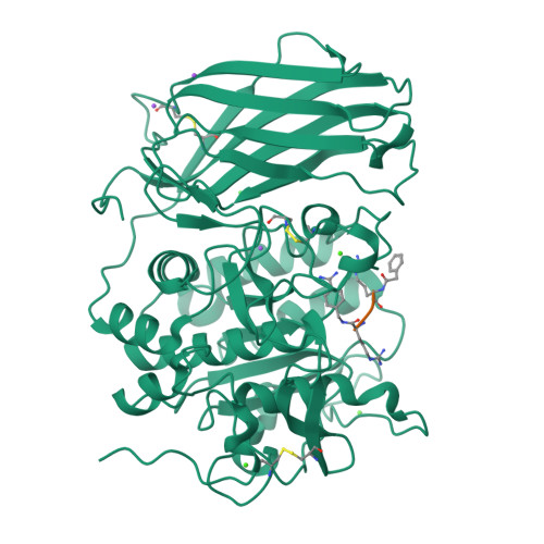 RCSB PDB - 6EQV: X-ray structure of the proprotein convertase furin ...