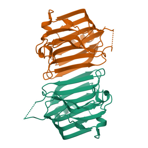 RCSB PDB - 6ER2: Ruminococcus gnavus IT-sialidase CBM40