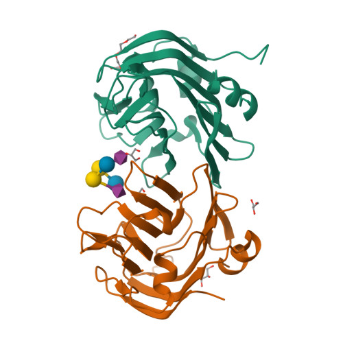 RCSB PDB - 6ER4: Ruminococcus gnavus IT-sialidase CBM40 bound to alpha2 ...