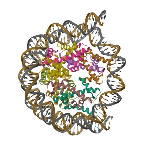 RCSB PDB - 6ESH: Nucleosome breathing : Class 3
