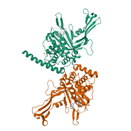 RCSB PDB - 6F5H: Crystal structure of USP7 in complex with a 4 ...