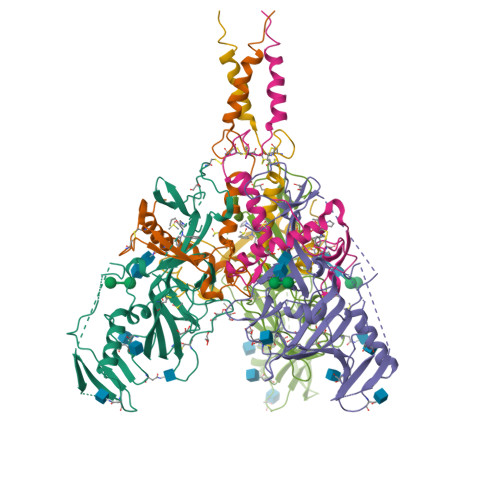 RCSB PDB - 6F5U: CRYSTAL STRUCTURE OF EBOLAVIRUS GLYCOPROTEIN IN ...