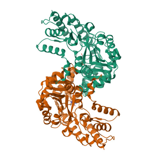 RCSB PDB - 6F77: Crystal structure of the prephenate aminotransferase ...
