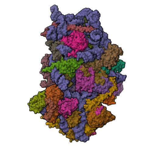 RCSB PDB - 6FAI: Structure of a eukaryotic cytoplasmic pre-40S ...