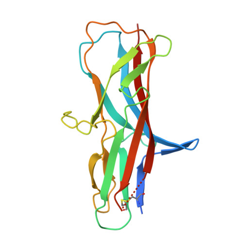 RCSB PDB - 6FM5: Crystal structure of self-complemented CsuA/B major ...