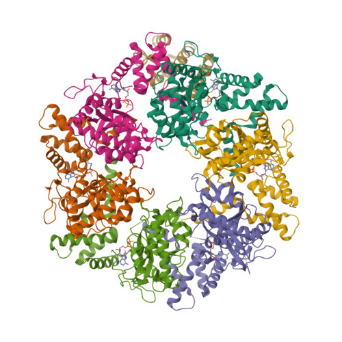 RCSB PDB - 6FO1: Human R2TP subcomplex containing 1 RUVBL1-RUVBL2 ...